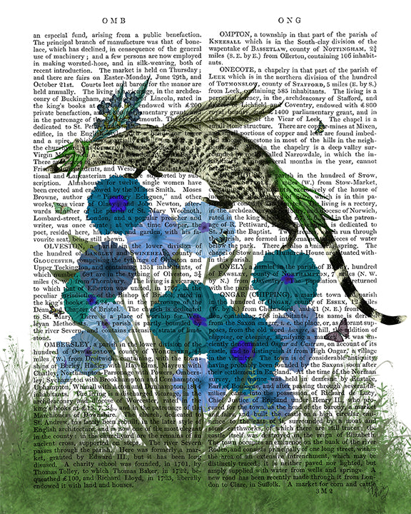 African Genet On Blue Flowers, Book Print, Art Print, Wall Art — FabFunky