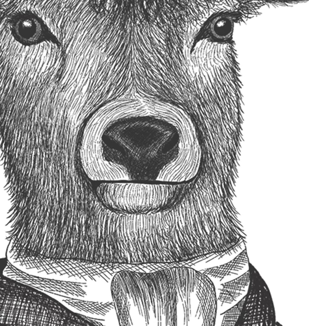 Deer Top Hat and Tails, Limited Edition Print of drawing — FabFunky