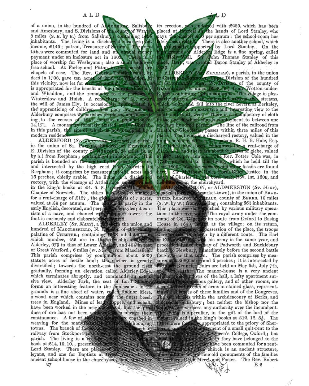 Strange People Book Prints — FabFunky