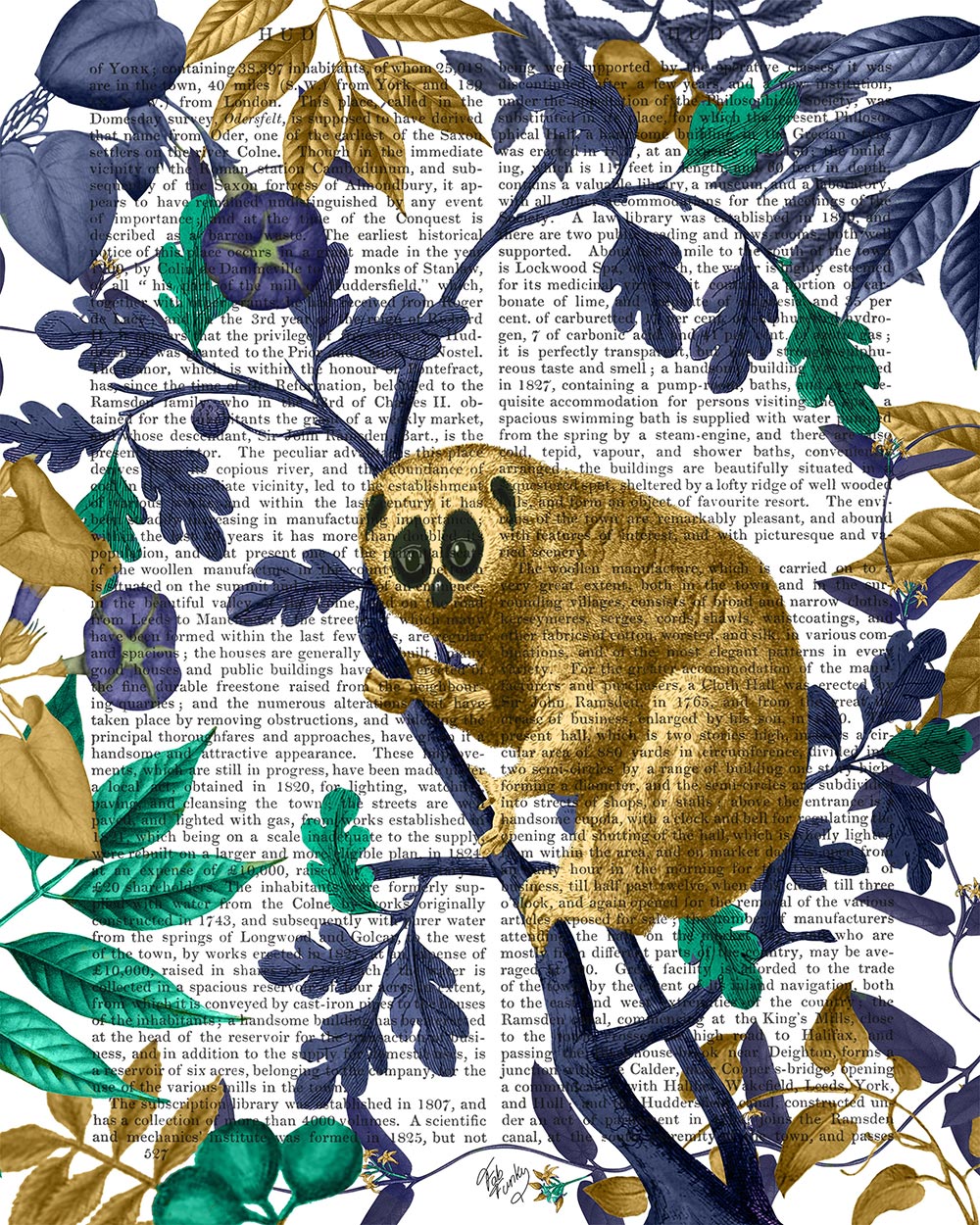 Slow Loris, gold, Antiquarian Book Prints, Art Print, Wall Art — FabFunky