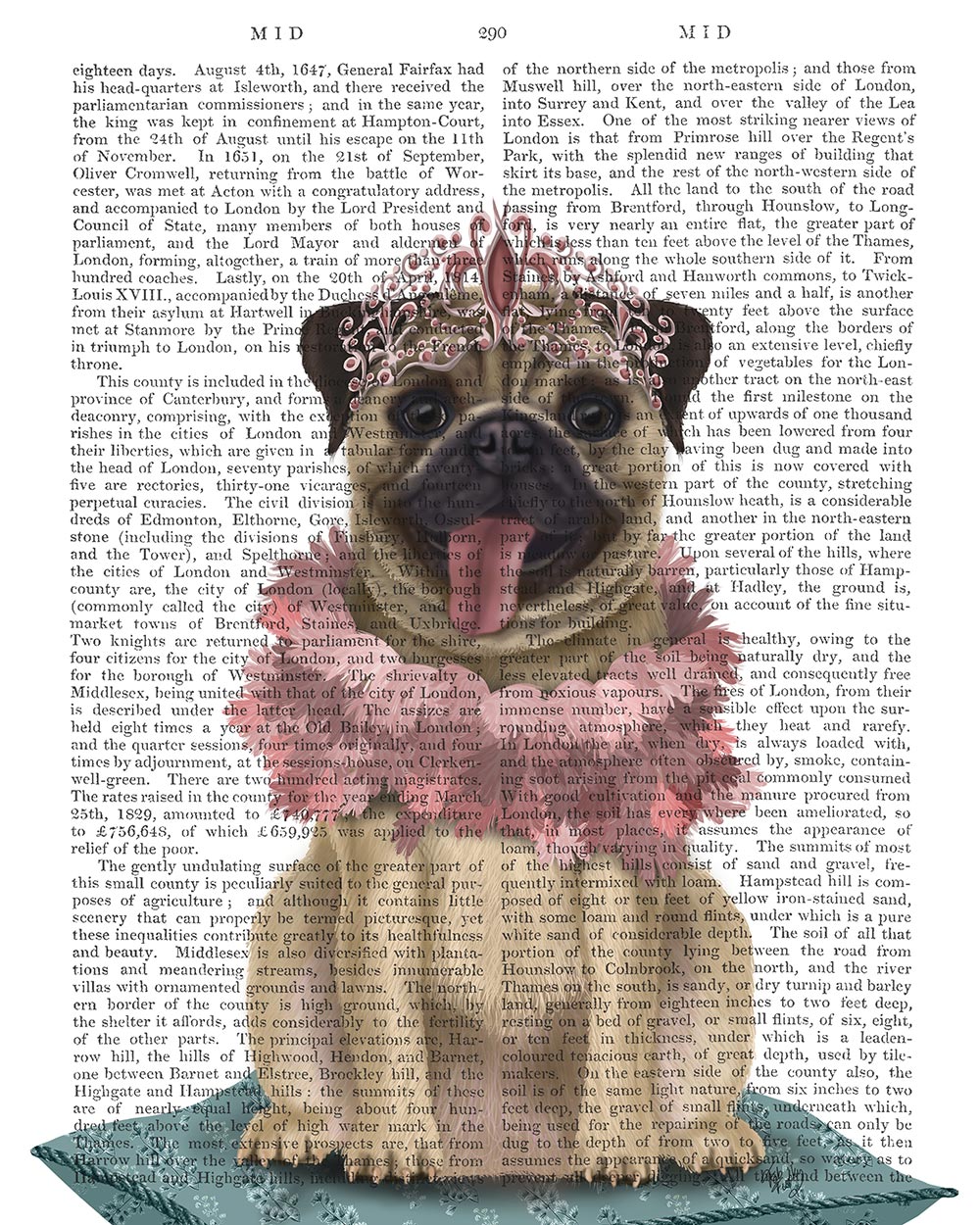 Pug Princess On Cushion, Antiquarian Book Prints, Dog Art Print, Wall ...