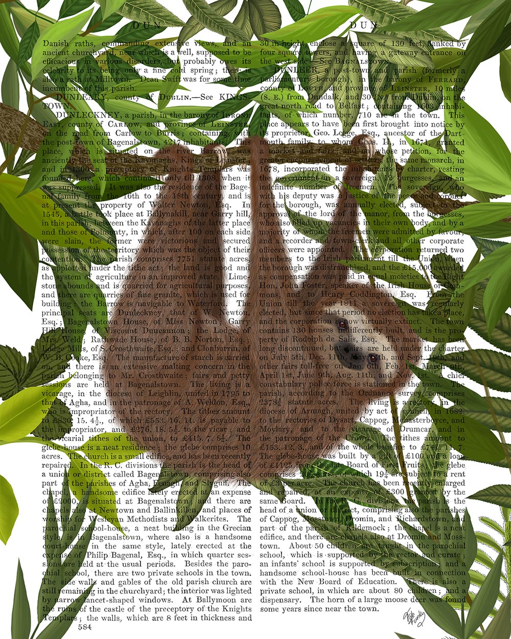Sloth Hanging Around, Antiquarian Book Prints, Art Print, Wall Art ...