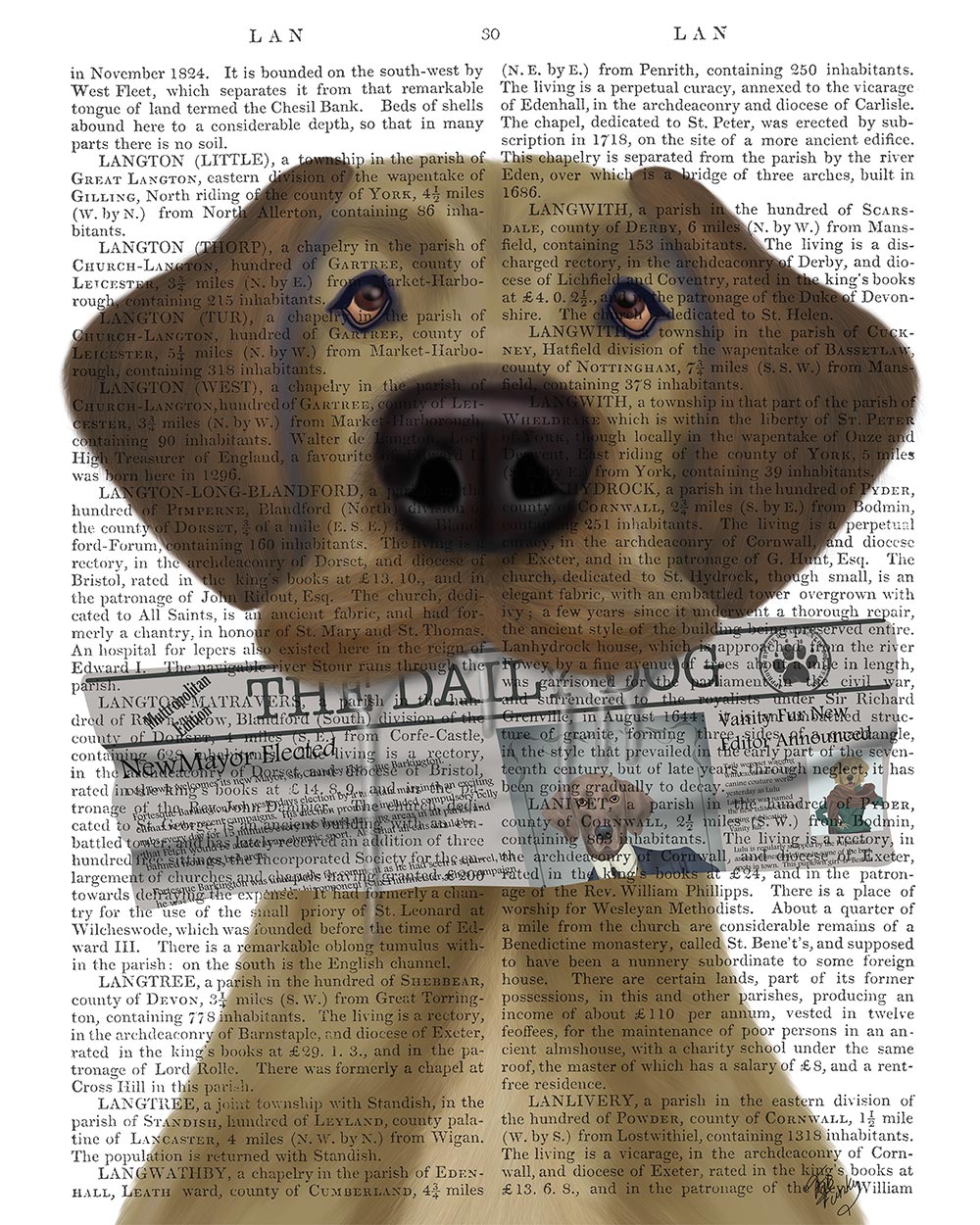 Great Dane Newspaper, Antiquarian Book Prints, Dog Art Print, Wall Art ...