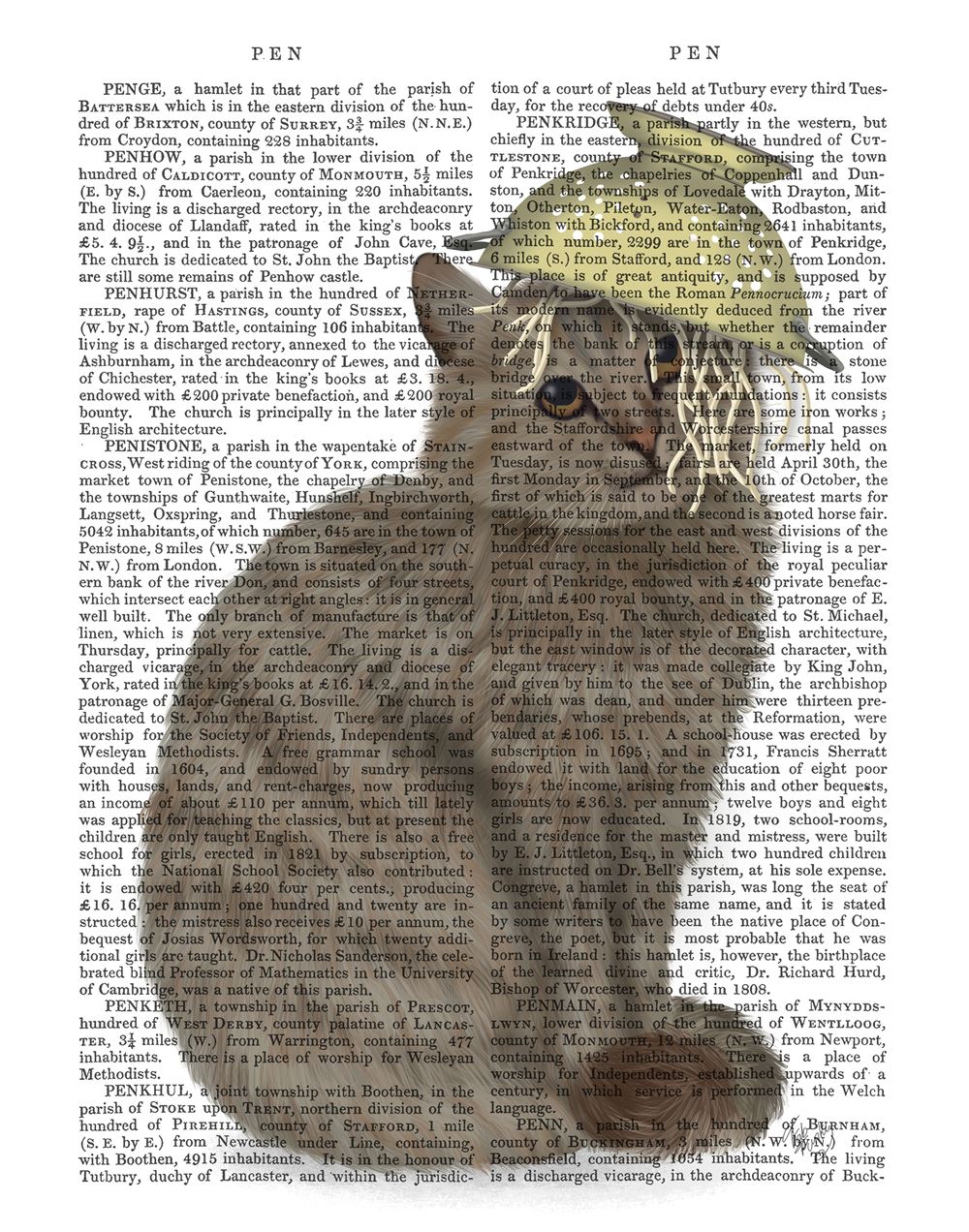 Tabby Cat Colander, Antiquarian Book Prints, Art Print, Wall Art — FabFunky
